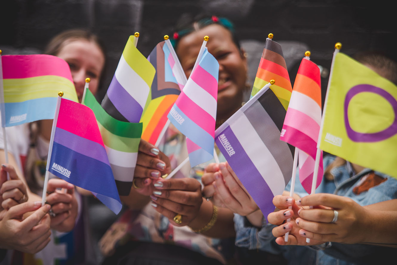 Which Pride Flag Should I Use? | IDAHOBIT Which Pride Flag Should I Use? | IDAHOBIT